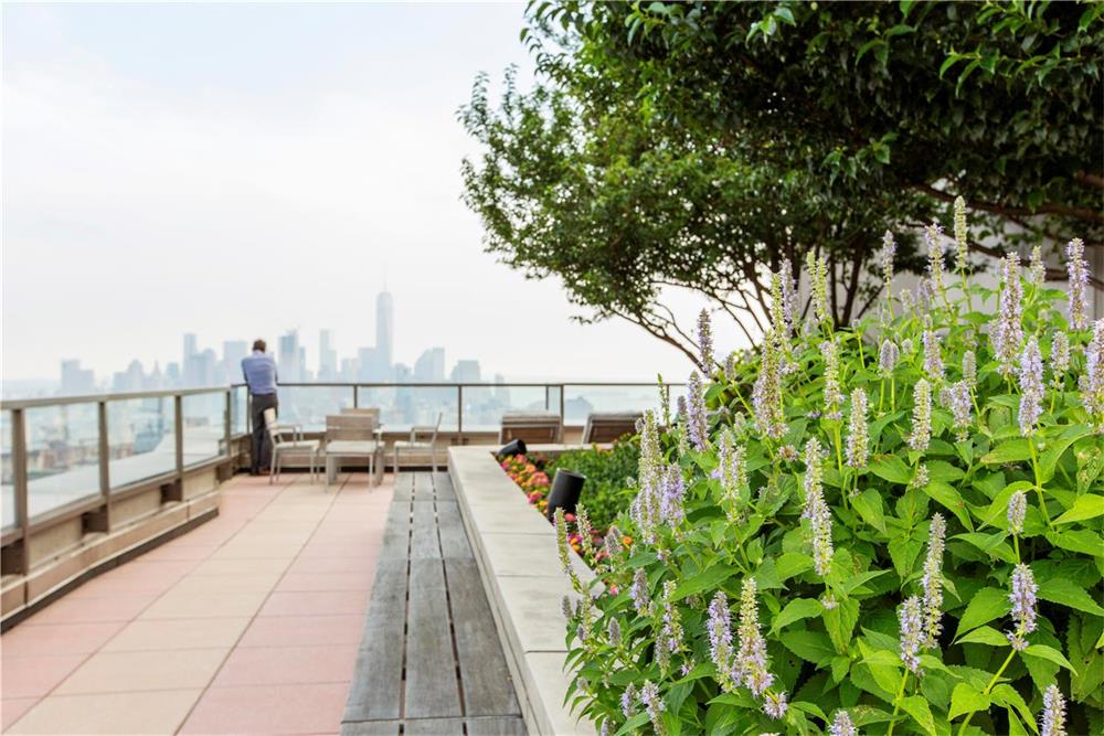 Chelsea Modern Zen Garden | Outdoor Landscaping Project