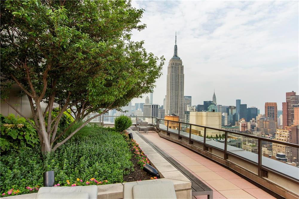 Chelsea Modern Zen Garden | Outdoor Landscaping Project