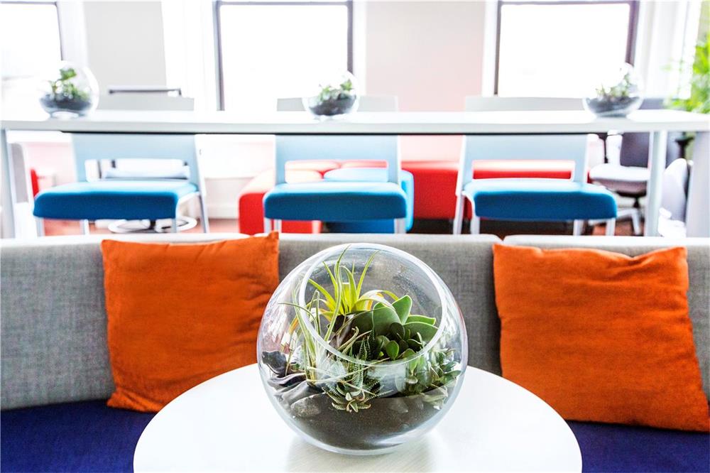 Floor Plantings in Office Space Manhattan | Award-Winning Landscapes