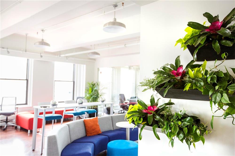 Floor Plantings in Office Space Manhattan | Award-Winning Landscapes