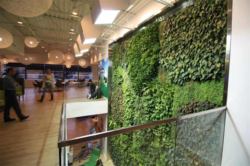 Plants Installed On A Wooden Trellis | Award-Winning CT Landscape