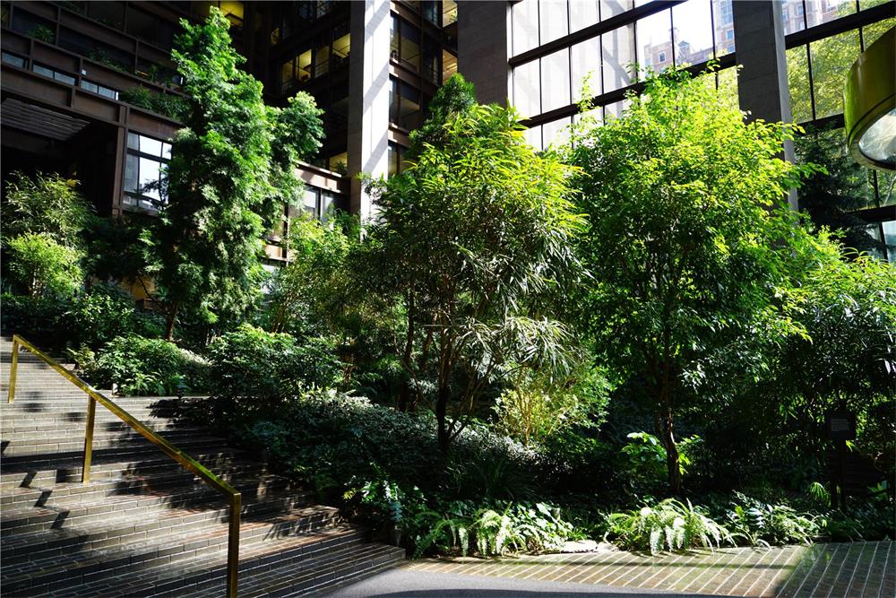 Ford Foundation Manhattan | Award-Winning NYC Landscape