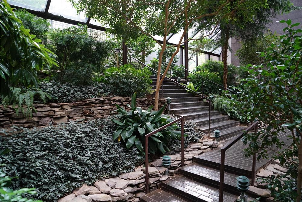 Ford Foundation Manhattan | Award-Winning NYC Landscape
