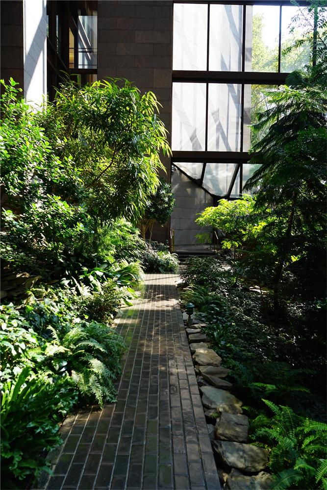 Ford Foundation Manhattan | Award-Winning NYC Landscape