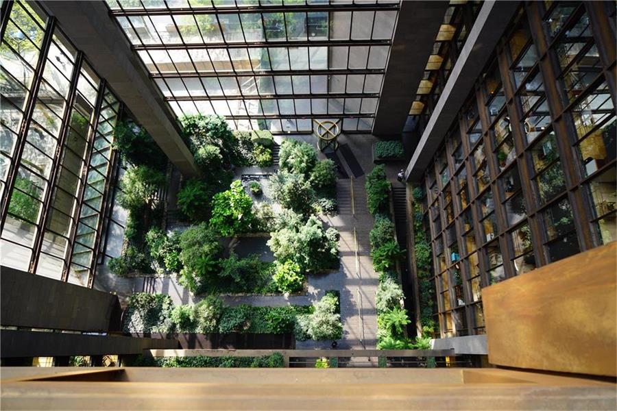 Indoor Atriums Projects | John Mini Distinctive Landscapes